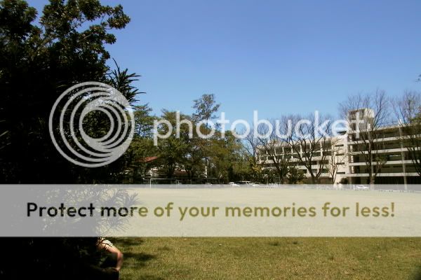 Top universities of the country - XU